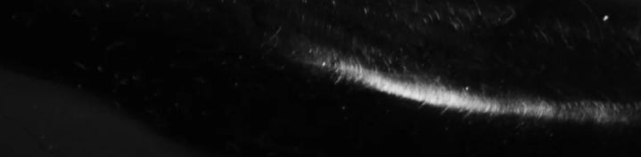 Owner Hook Whip-it eel : Rigged – Al Gags Fishing Lures